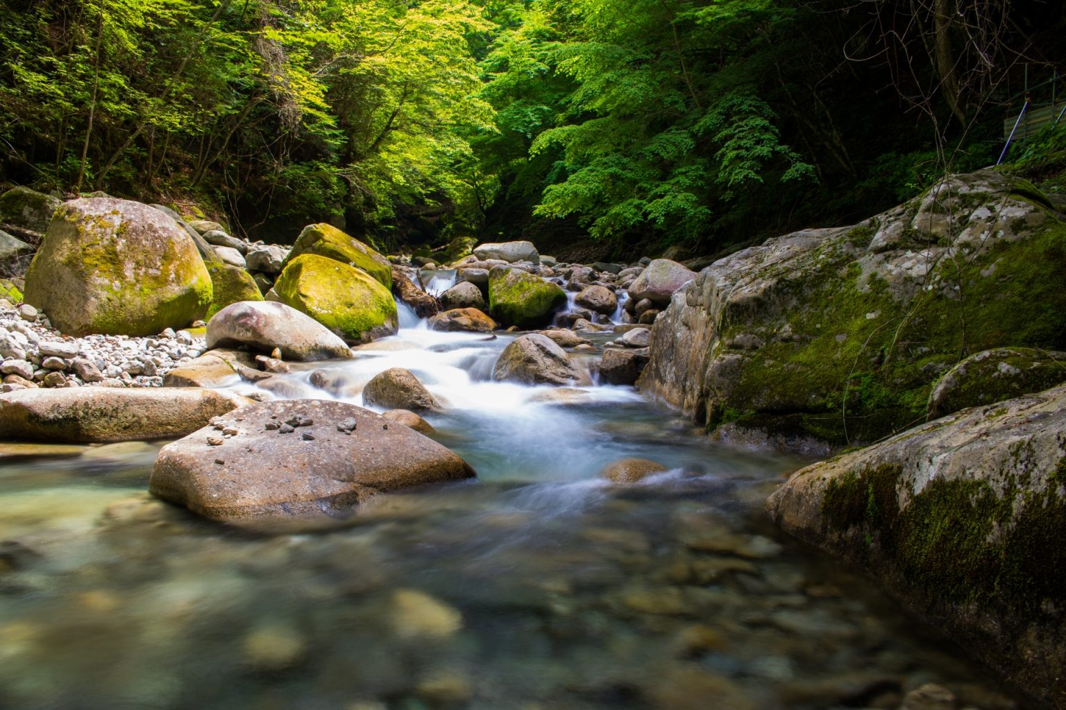 Beginner-Friendly River Tracing Routes in Taiwan – Taiwan Scene